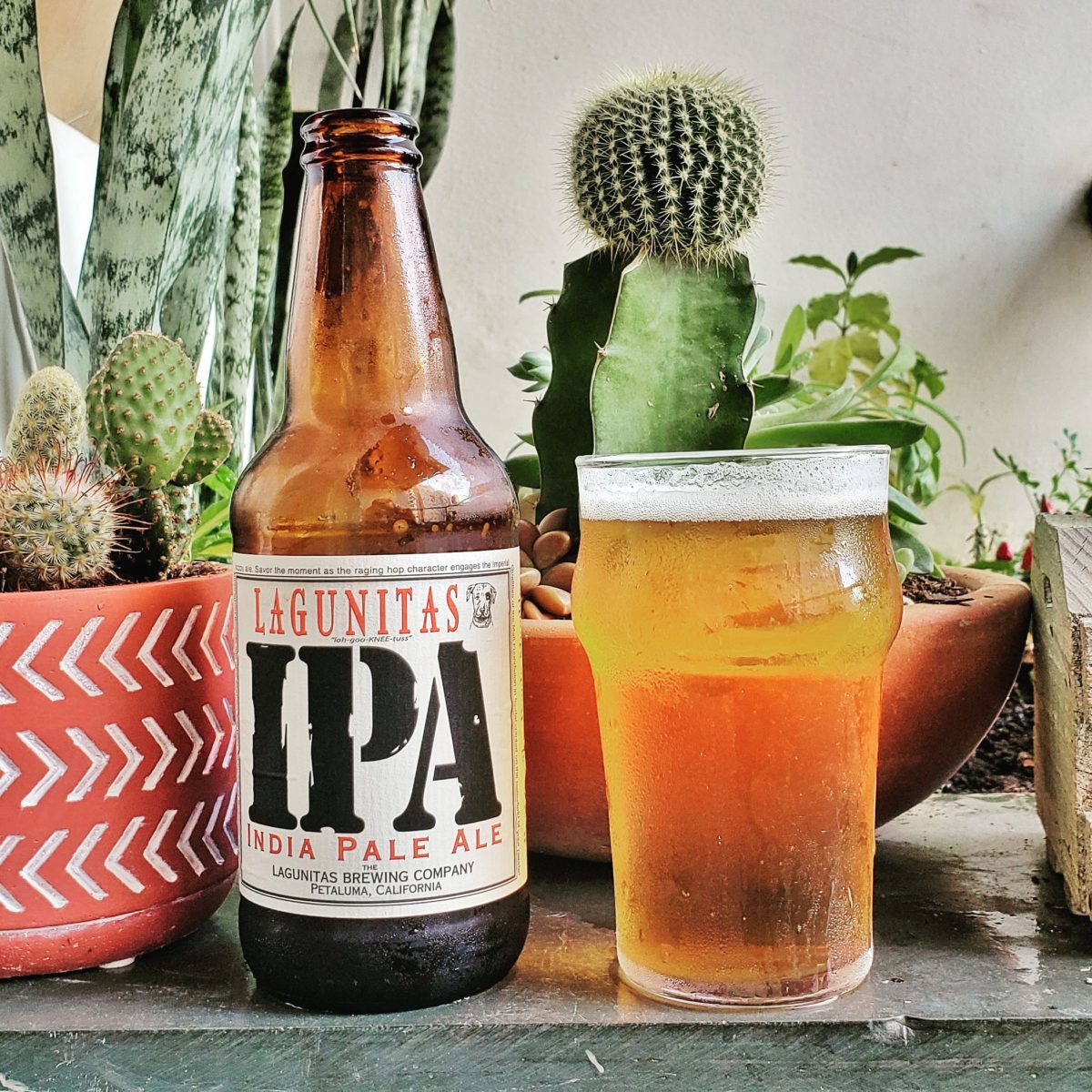 Lagunitas IPA | Diários Gastronômicos